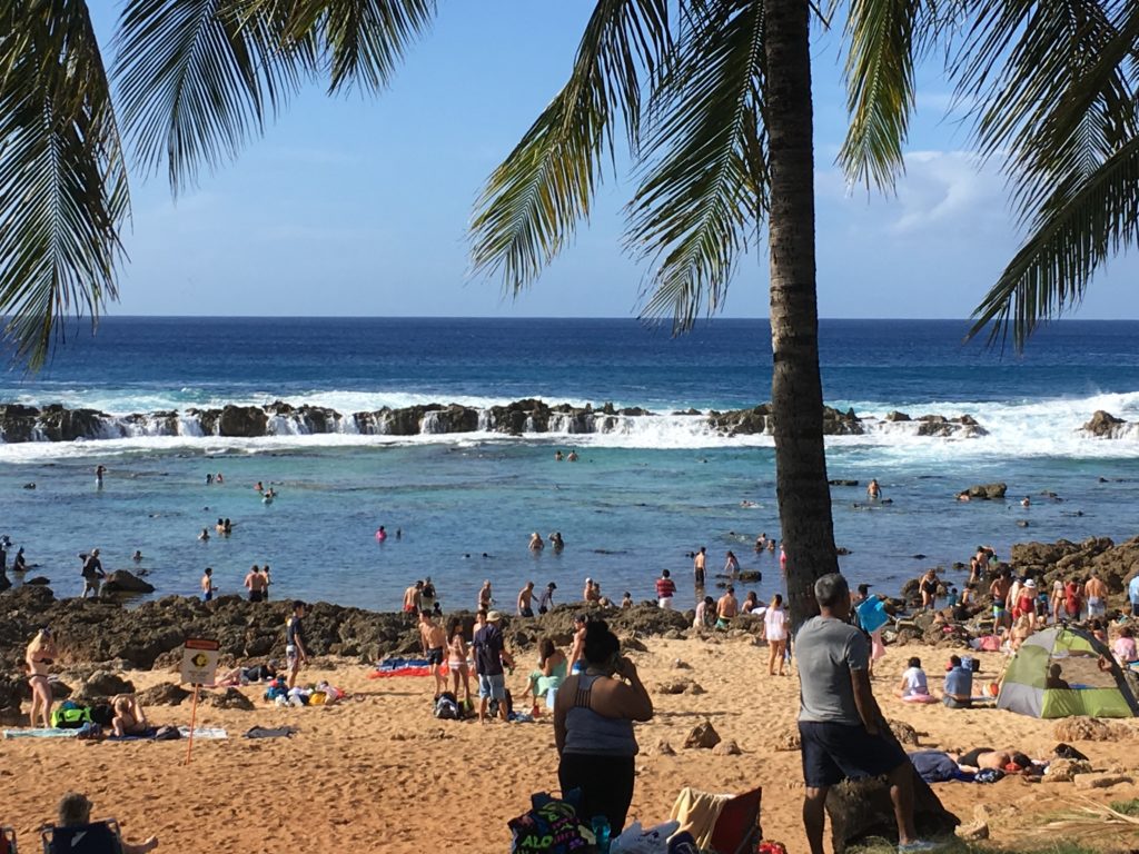 Sharks Cove at Pupukea on Oahu, Hawaii – a Beautiful Snorkel Spot ...